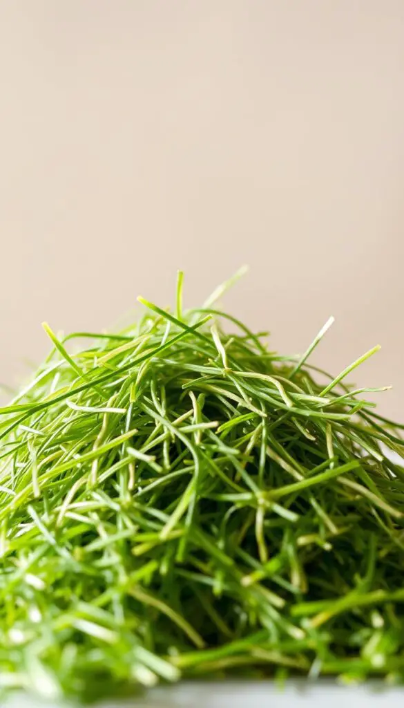 Can Guinea Pigs Eat Peas?